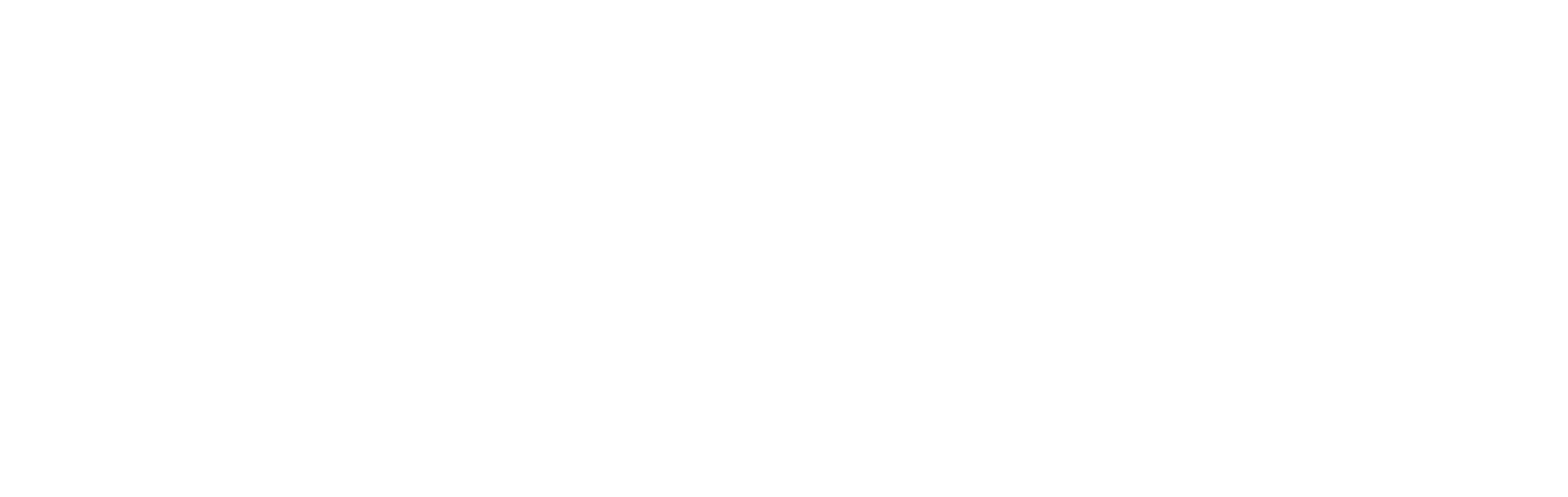 Aryan Science Solutions